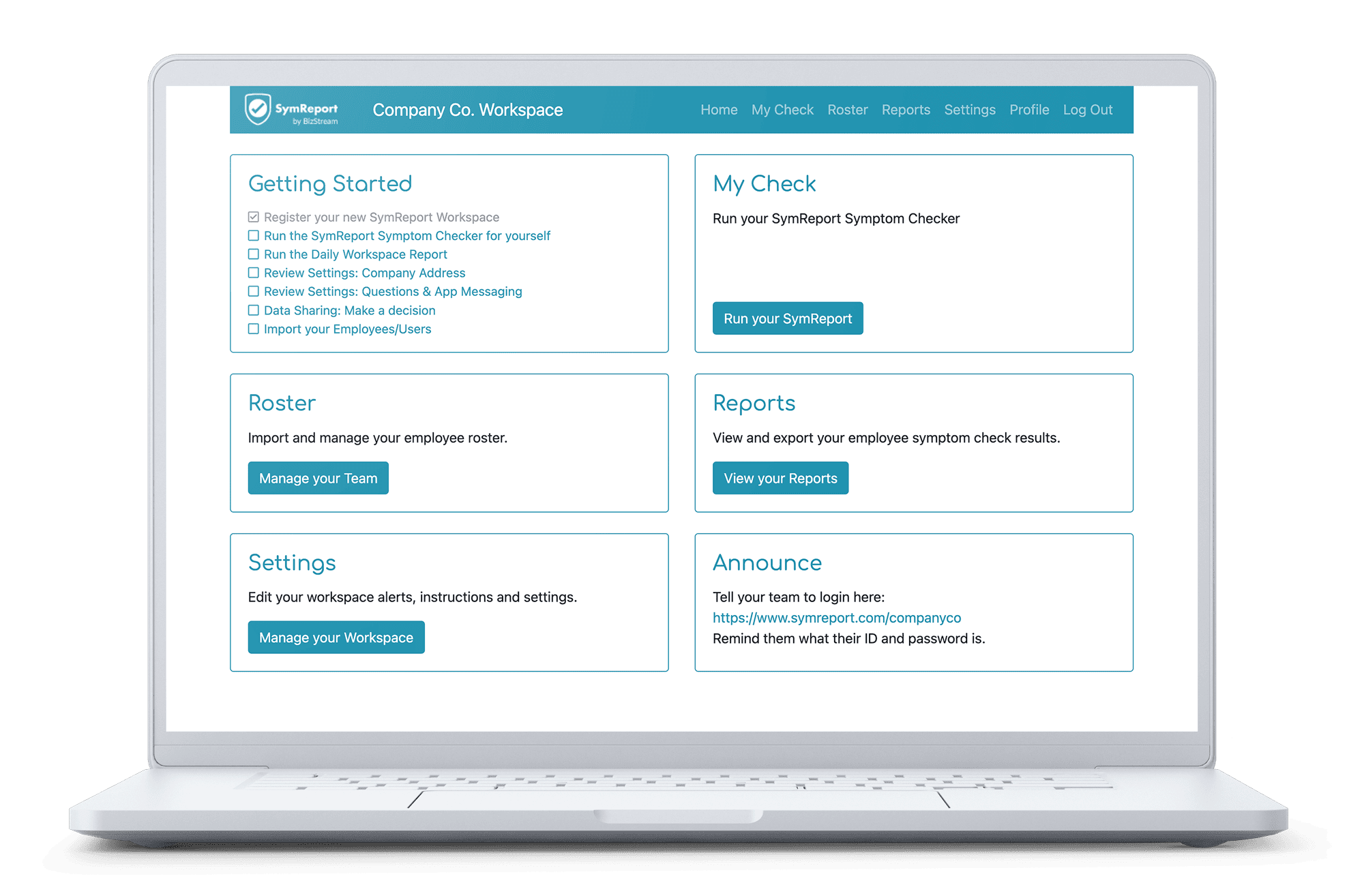 SymReport - BizStream