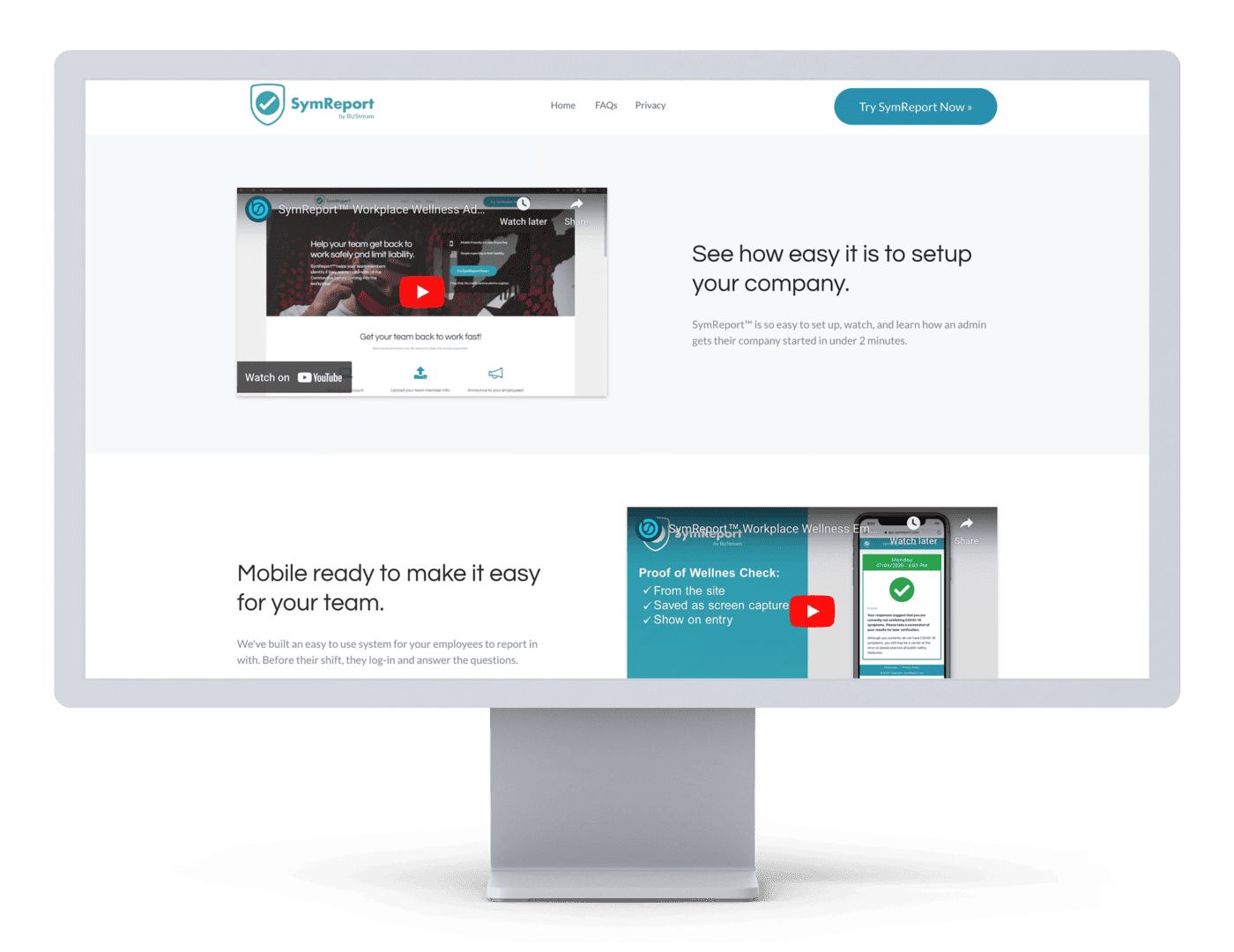 SymReport - BizStream