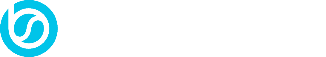 Our Services - BizStream