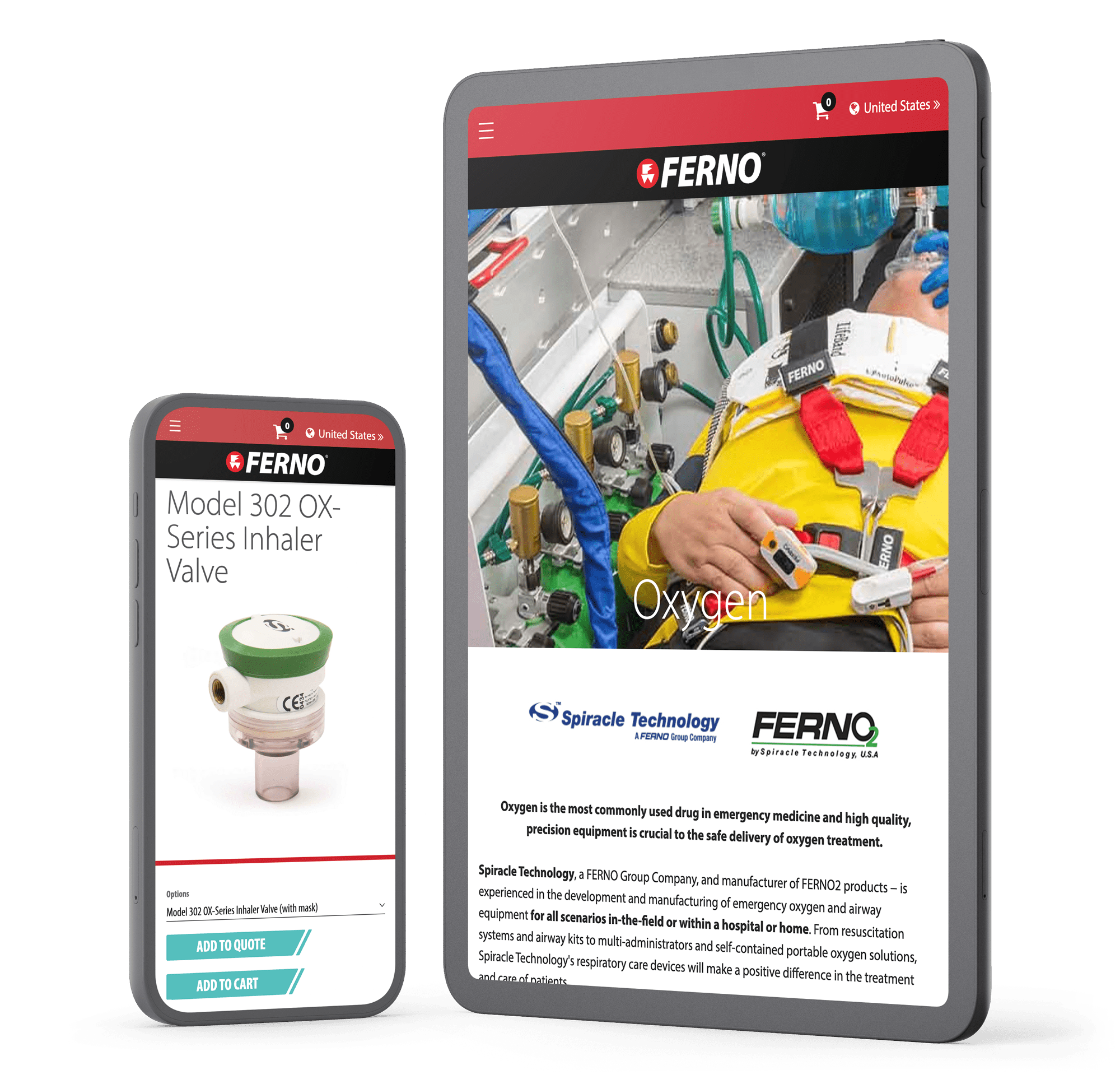 FERNO, Kentico Implementation - BizStream