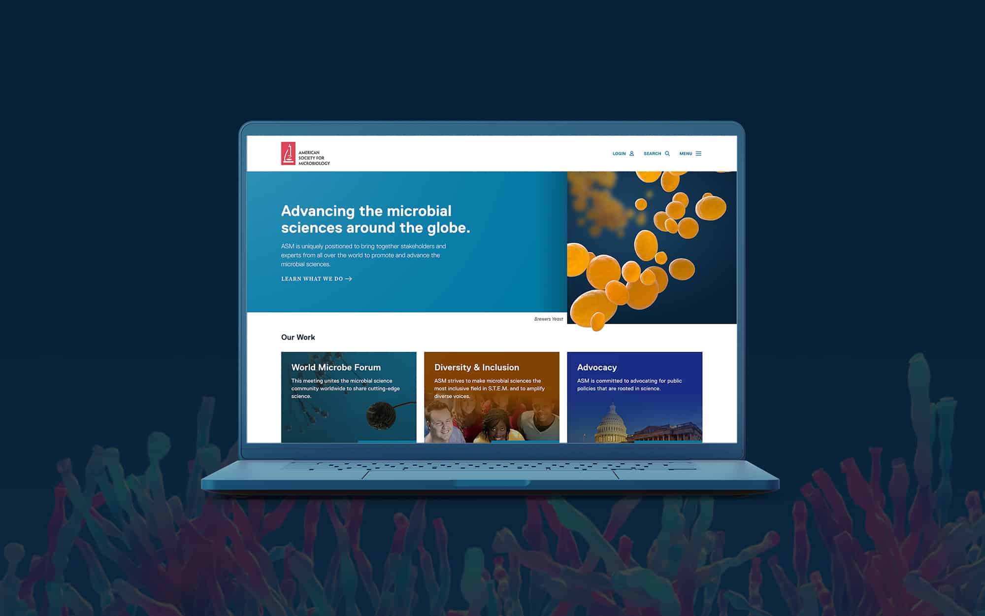 American Society for Microbiology, Kentico Implementation - BizStream