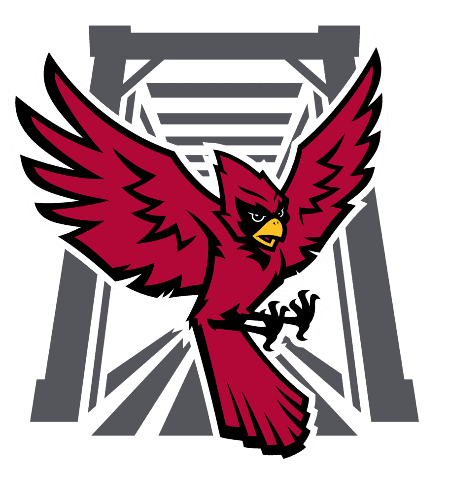 Portland Raider Bird, Branding & Design - BizStream