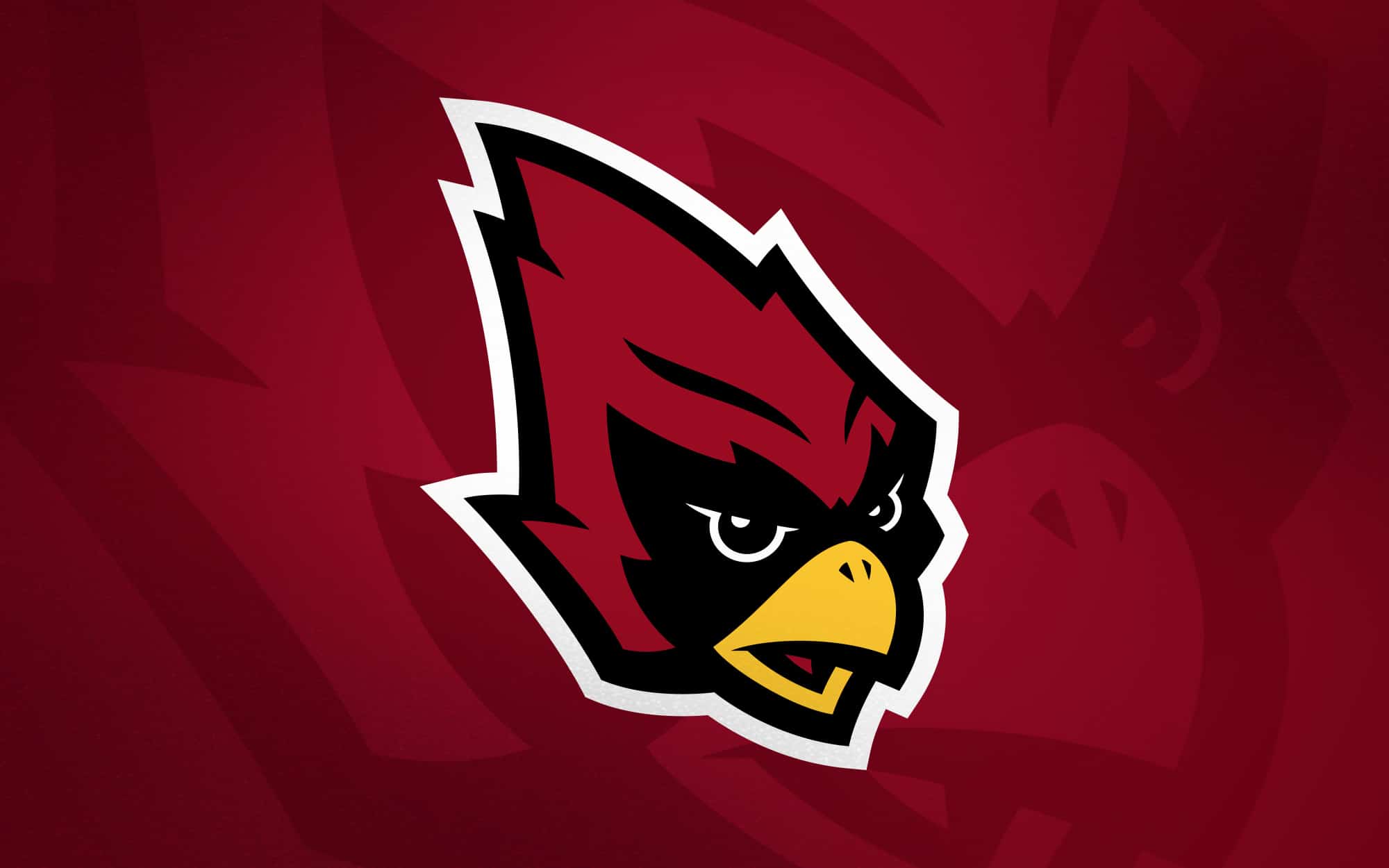 Raider Head Logo