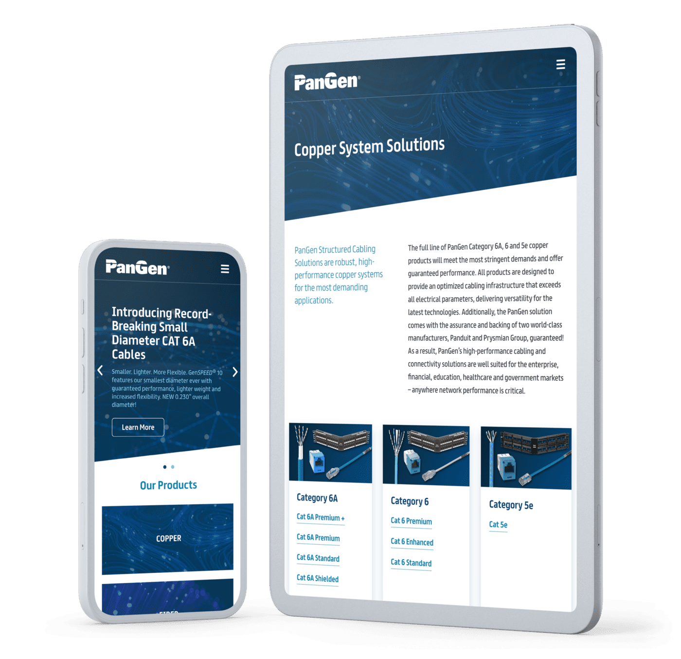 PanGen Solutions, Design & Development - BizStream