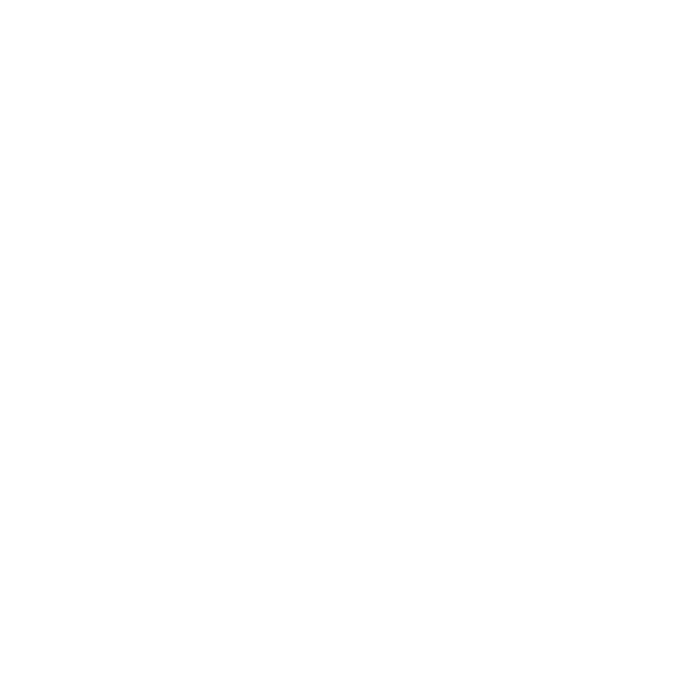 WordPress | Development Services - BizStream