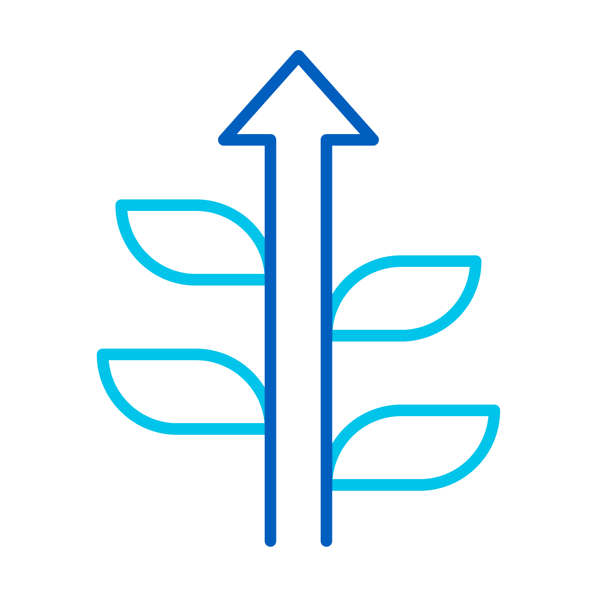 About - BizStream